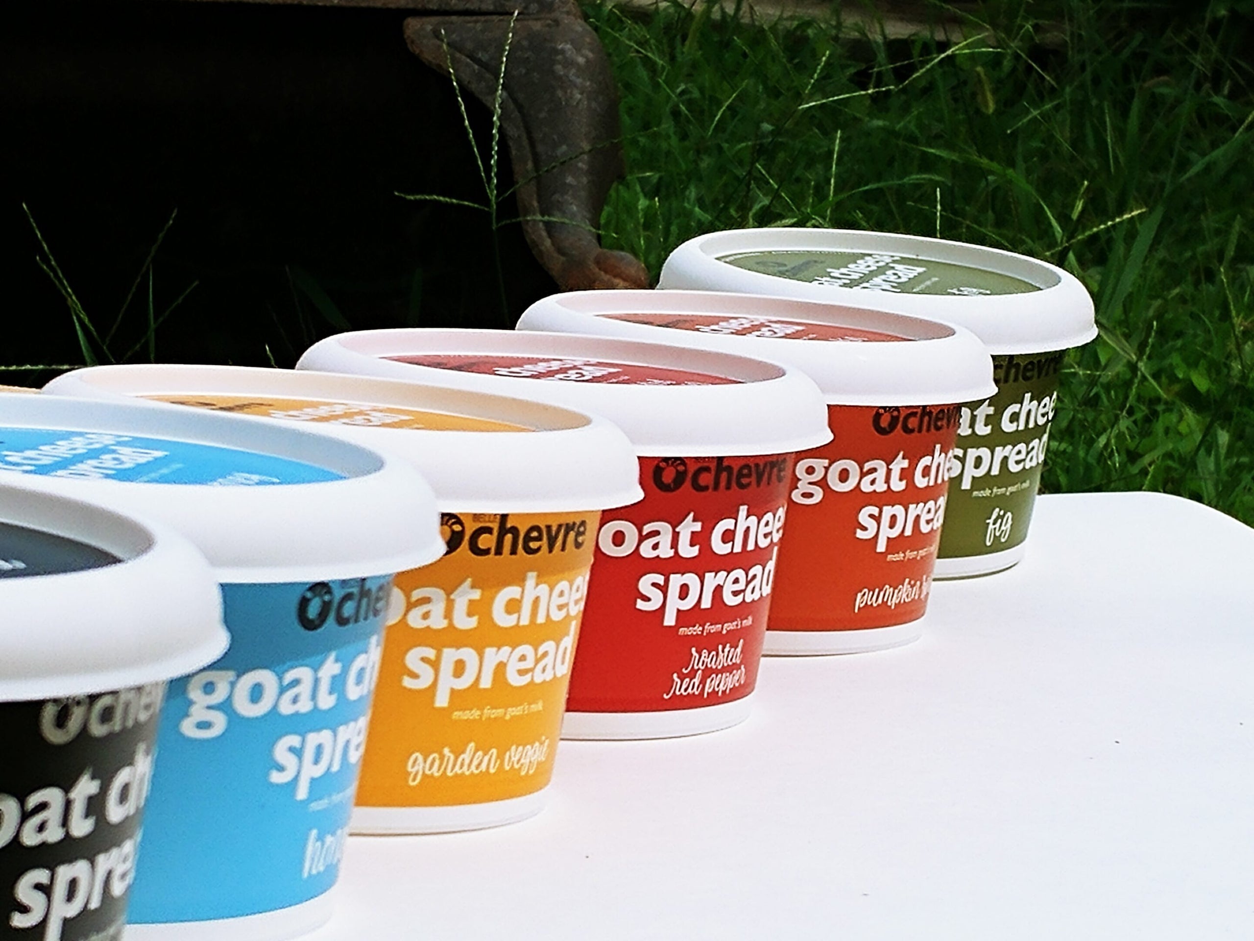 Belle Chevre Goat Cheese Spreads | A Peach of a Party